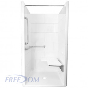 ADA Compliant Transfer Shower for People with Disabilities